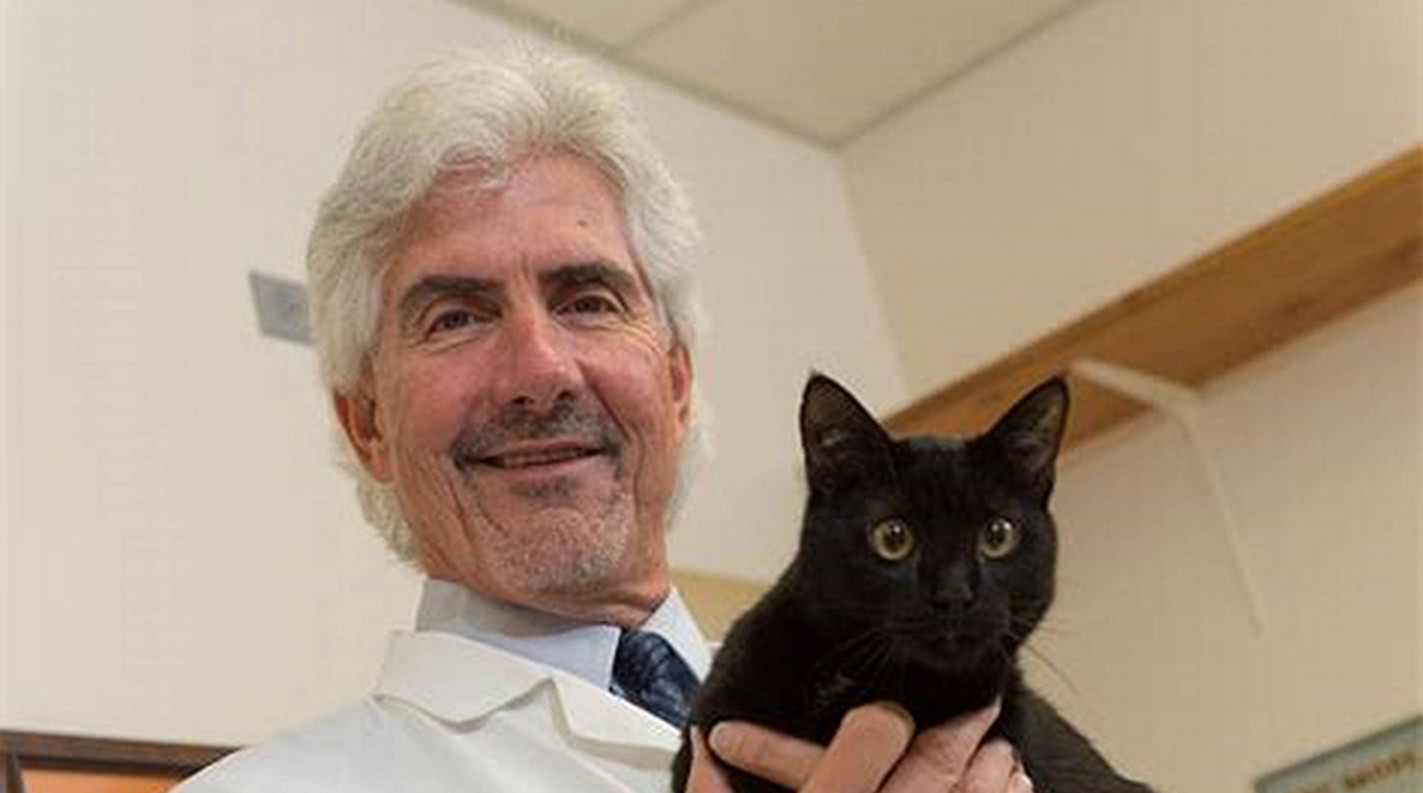 Canine Respiratory Illness Q&A with Trupanion | Part 2