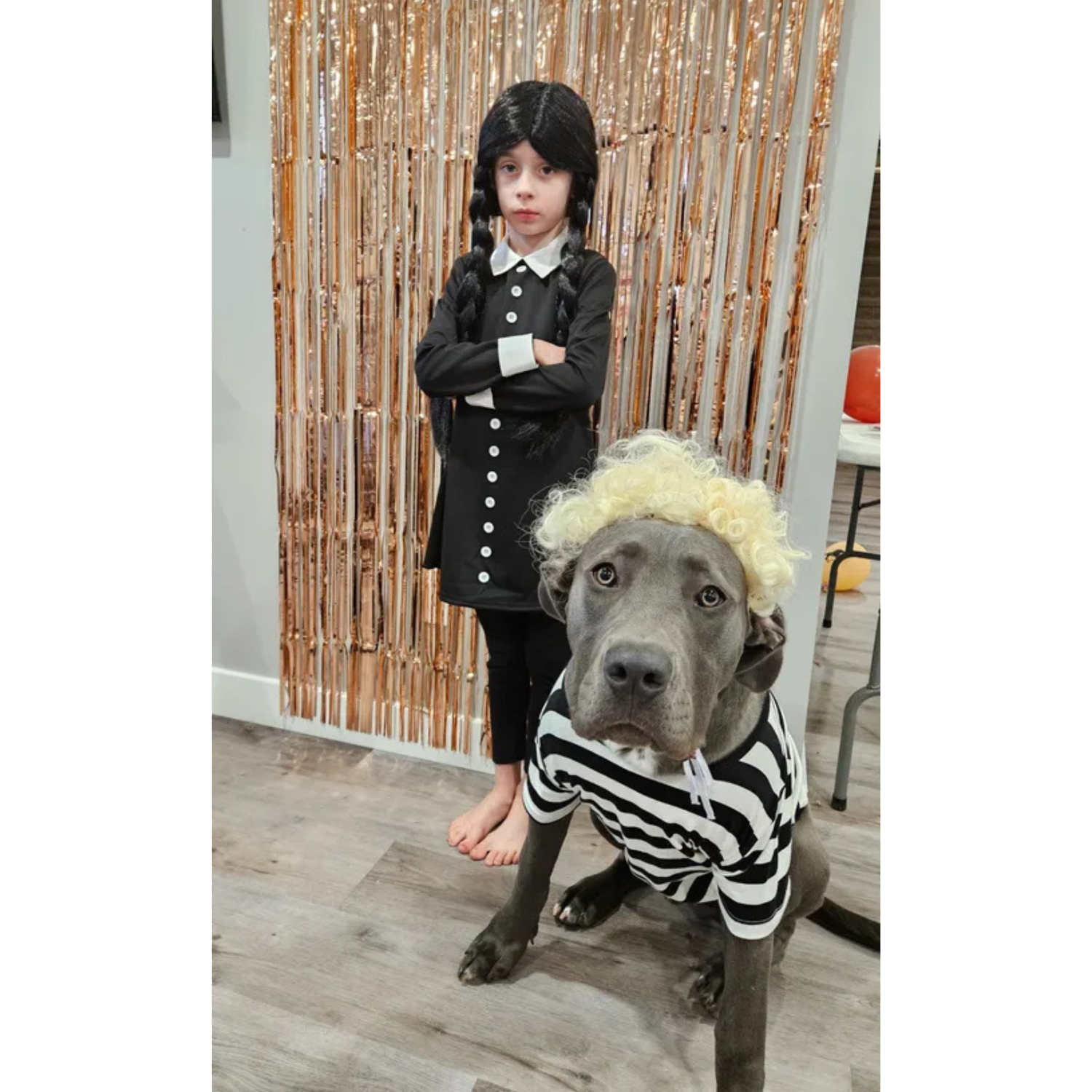 Vote for Buck-A-Roo!